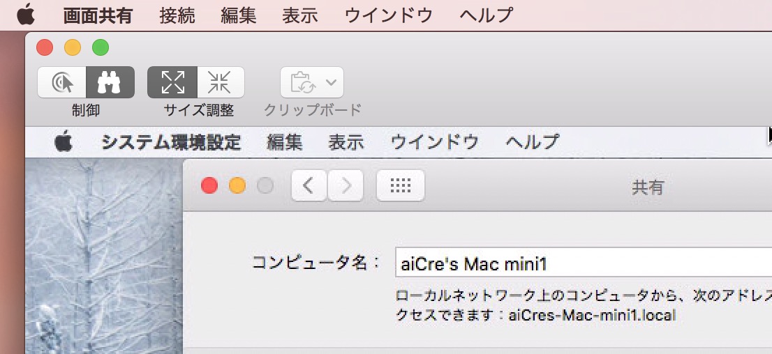 005_sharedisp12 – minto.tech