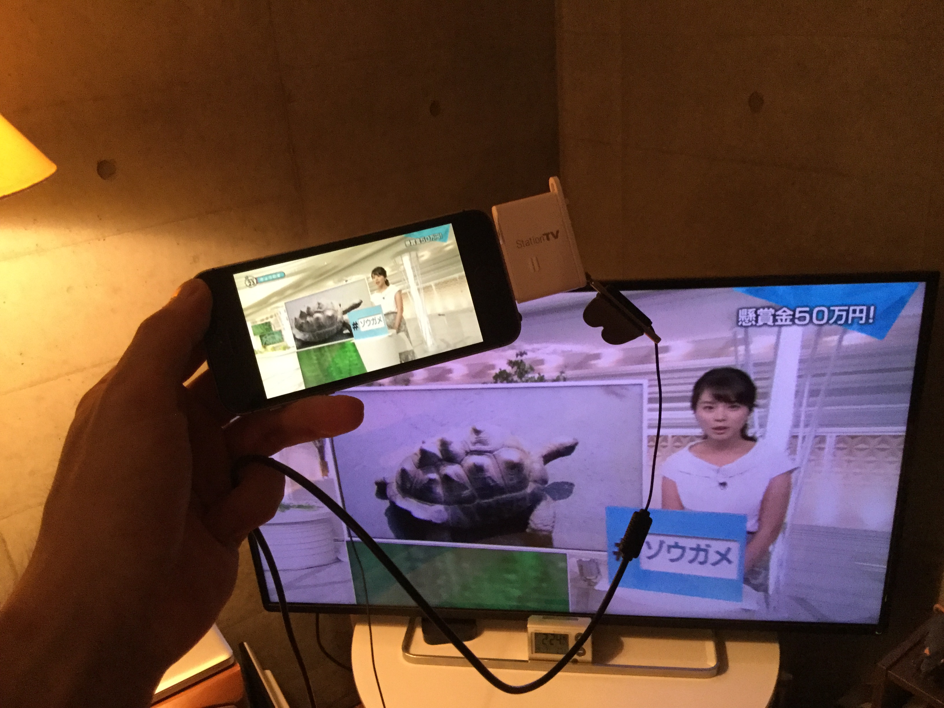 file_008 – minto.tech