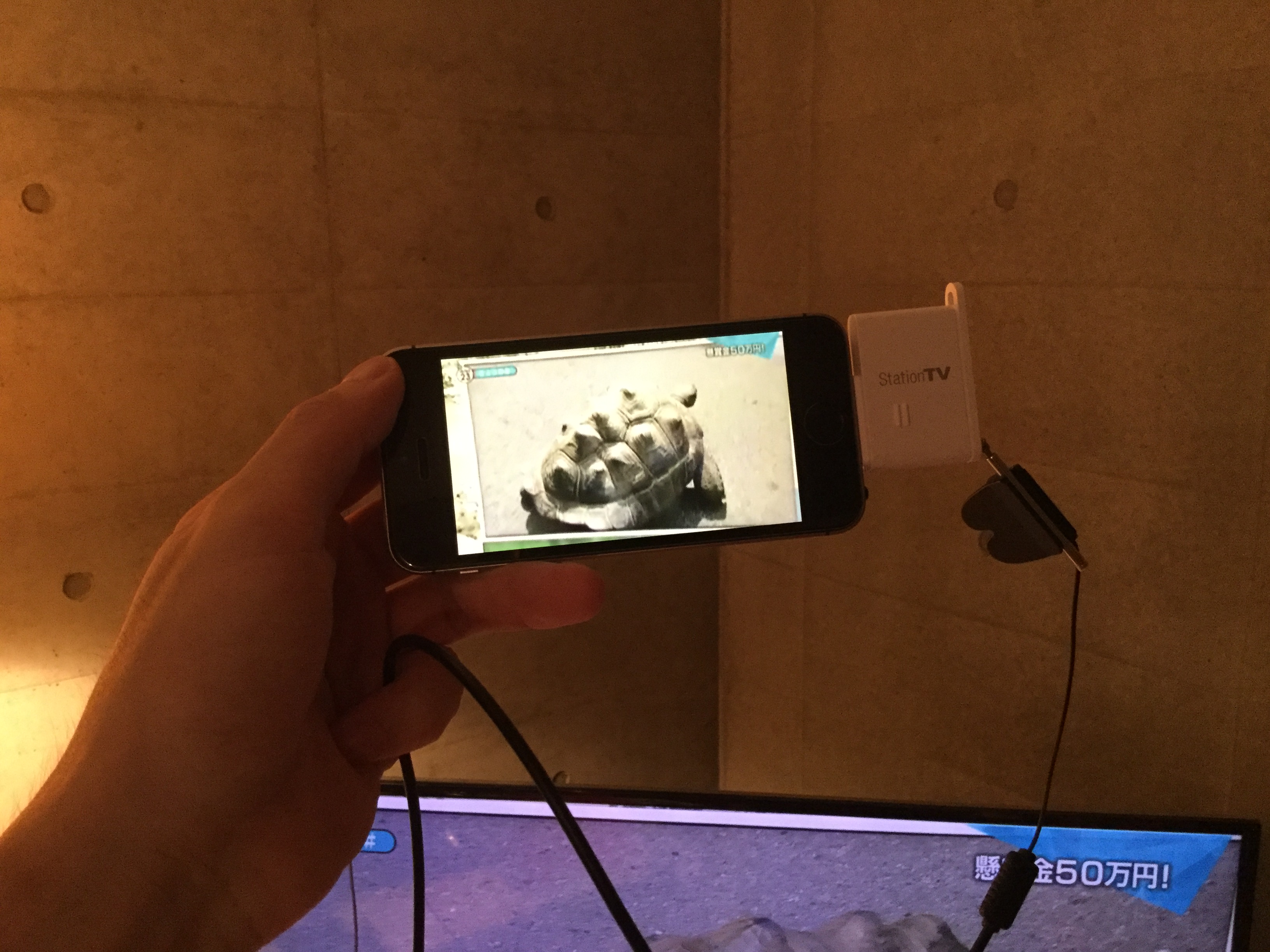 file_009 – minto.tech